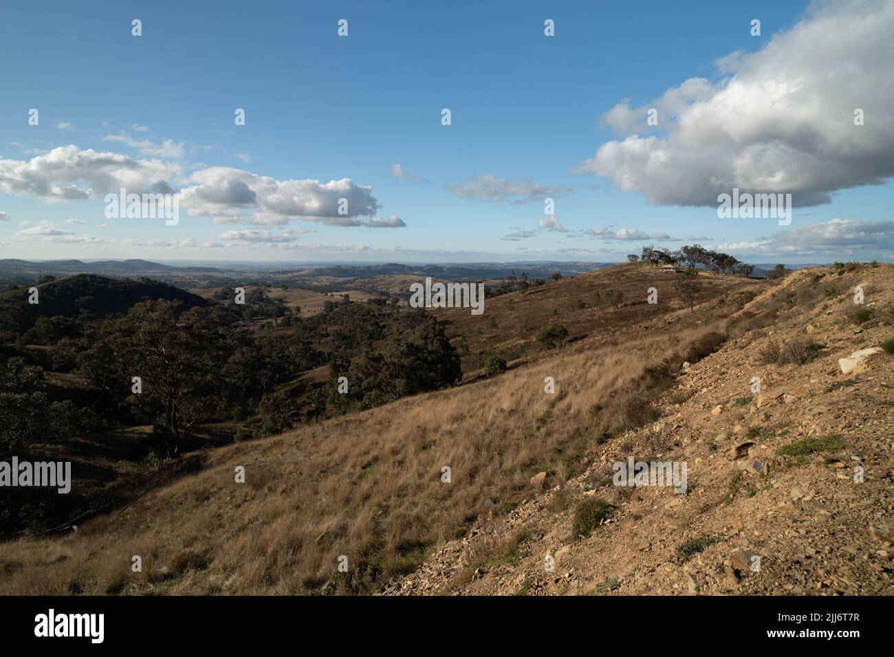 An aerial view of a landscape surrounded by growing trees under a blue ...