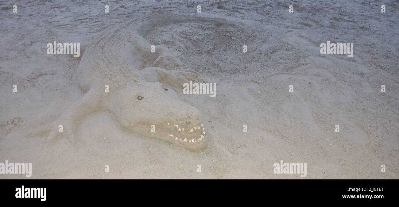A crocodile made of sand on the beach Stock Photo - Alamy