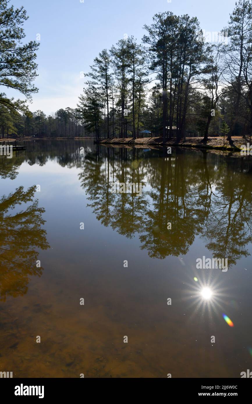 Mirror reflections of trees and sky in the pond Stock Photo - Alamy