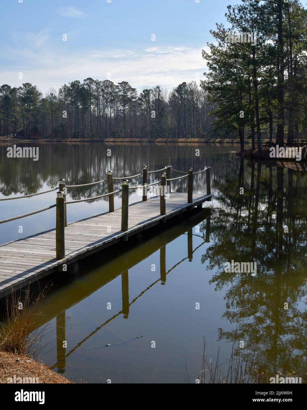 Tree trees grass mirror hi-res stock photography and images - Alamy
