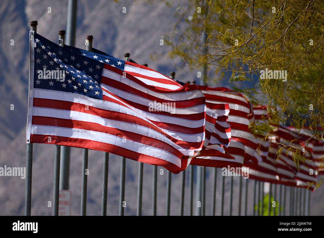 A row of waving American flags Stock Photo - Alamy