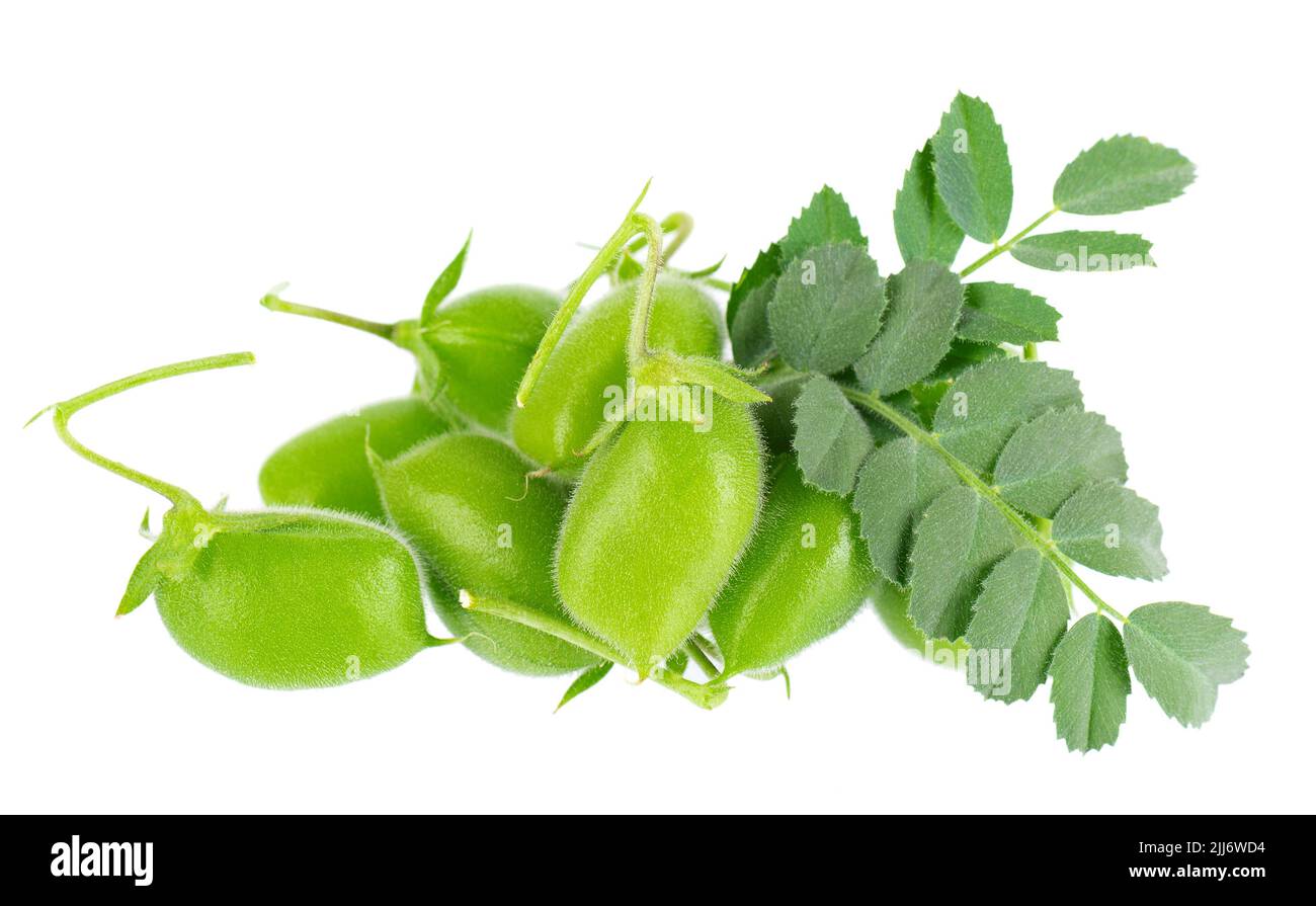 Green chickpeas in the pod with green leaves, isolated on white ...
