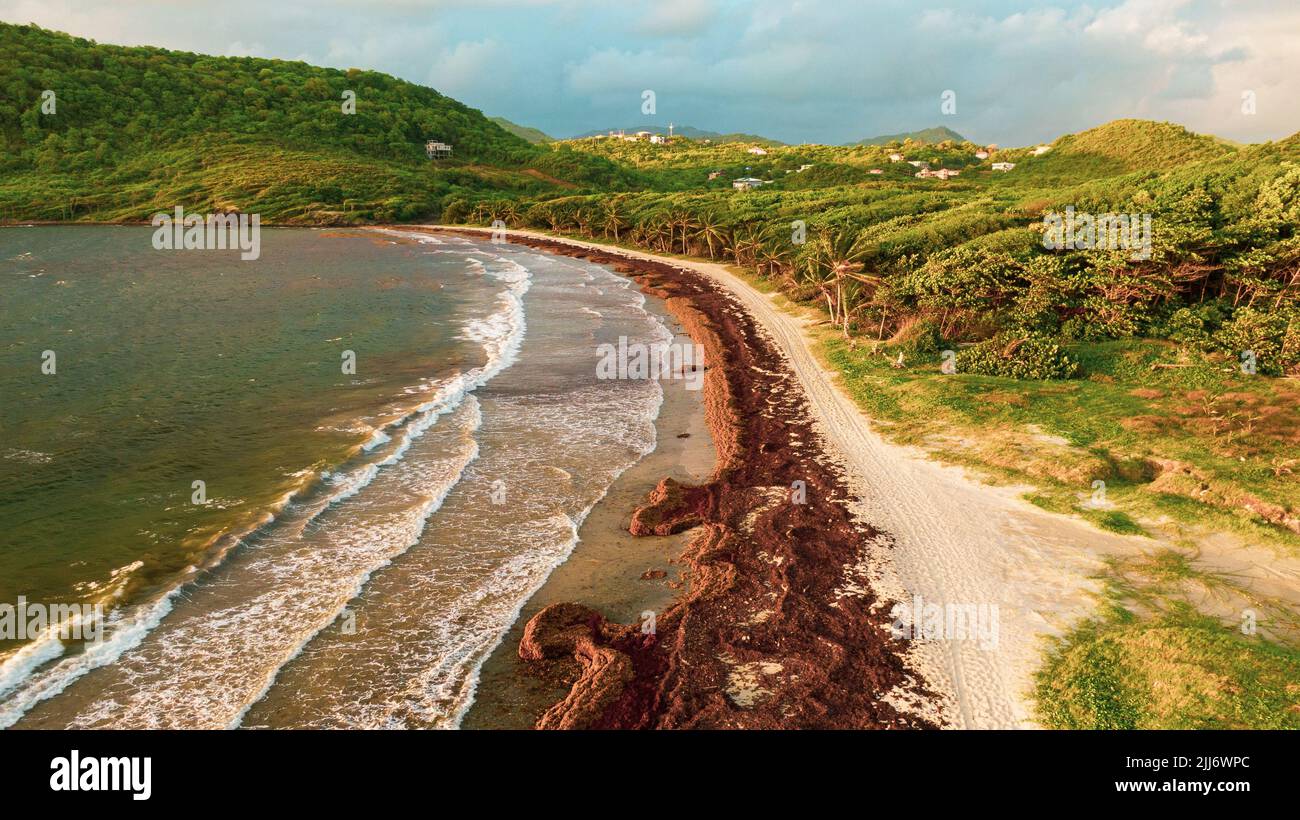 A daytime view of a beach at the Caribbean Stock Photo - Alamy