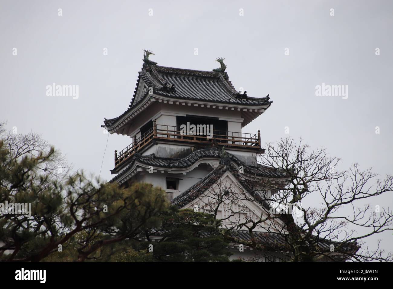 The historical Edo period Kochi Castle in Japan Stock Photo - Alamy