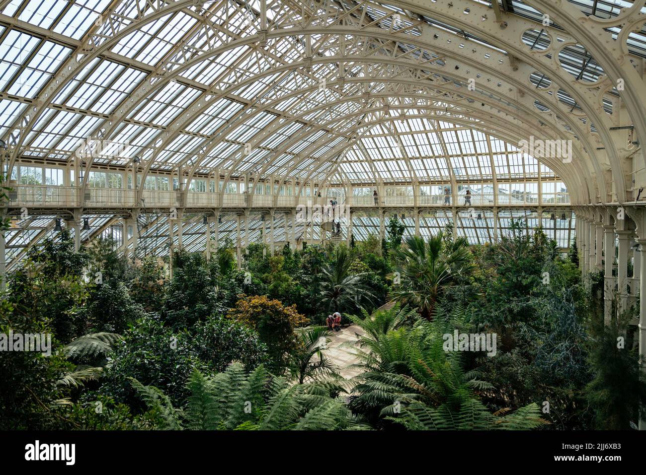 Orangery interior hi-res stock photography and images - Alamy