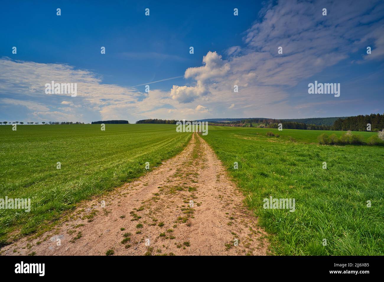 An earthen path in the center of a beautiful green field under the blue ...