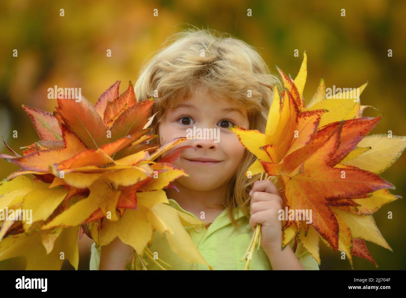 Autumn kids portrait closeup. Kids play in autumn park. Children ...