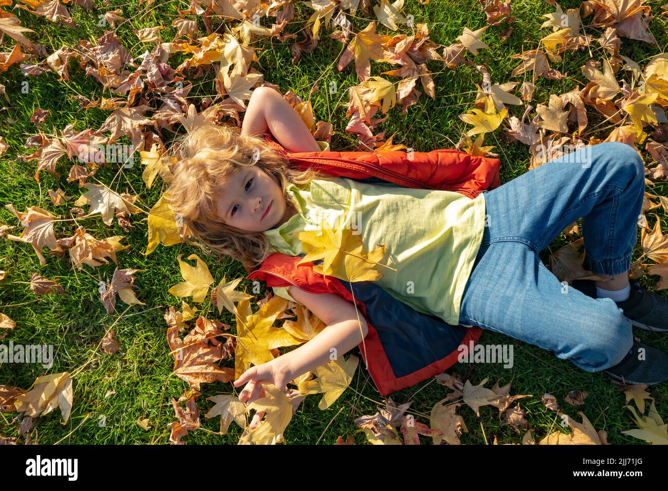Kid boy lying on ground or grass and fallen leaves in autumn park ...