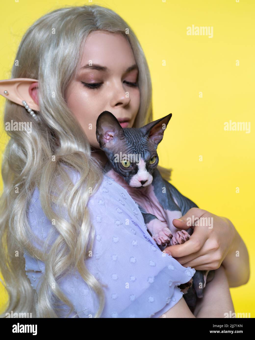 Closeup view of cosplay elf young female with Sphynx cat on yellow ...