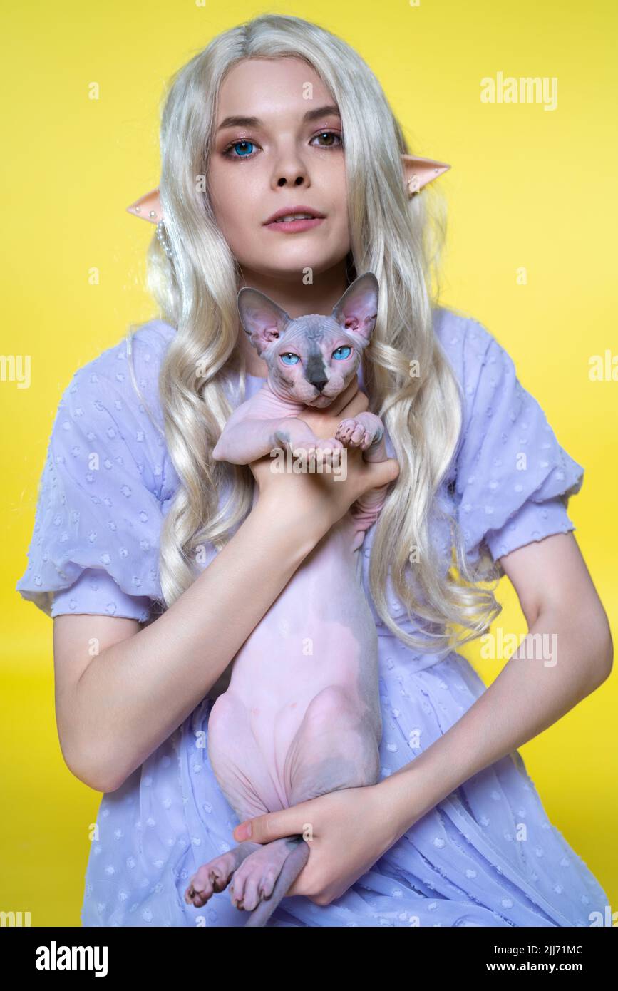 Cosplayer elf young woman holding Sphinx cat in her hands and showing ...
