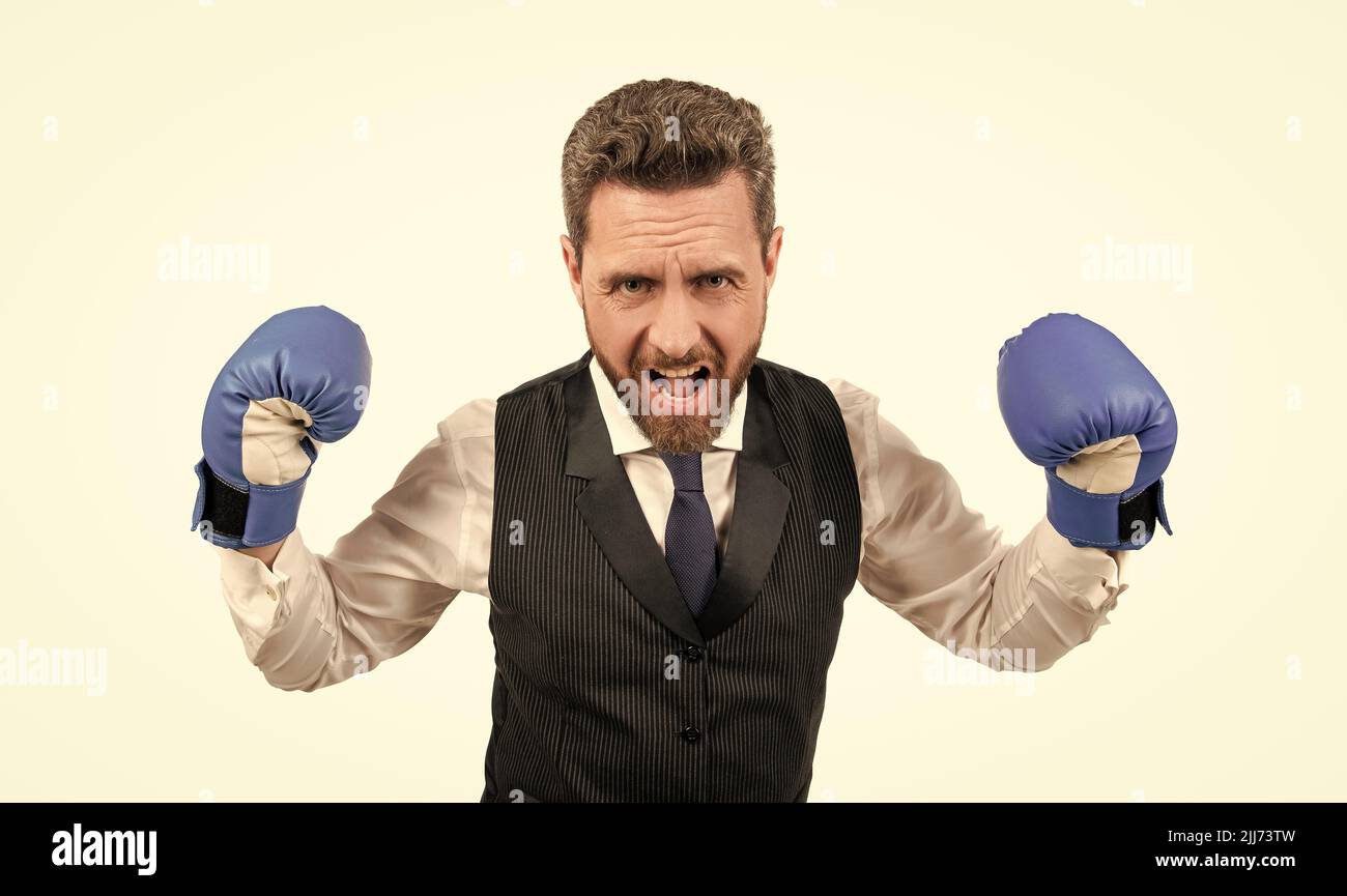 successful ceo boxer. relentless struggle and success. shouting man ...