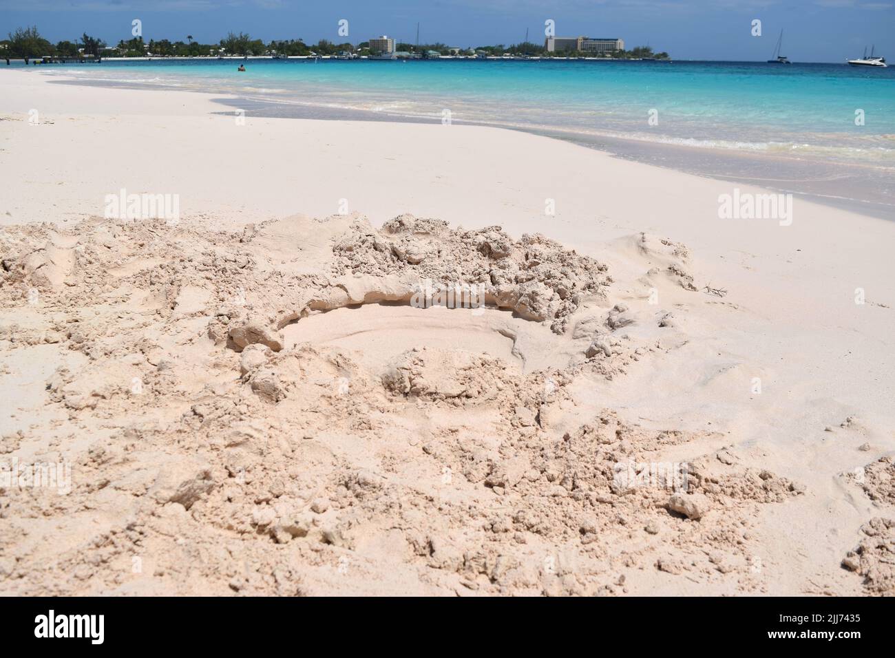 Turtle icon hi-res stock photography and images - Alamy