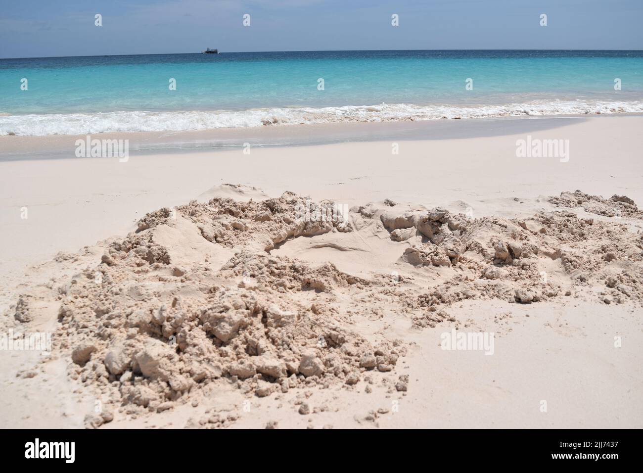 Turtle nest in the sand on Barbados beach on a sunny day Stock Photo ...