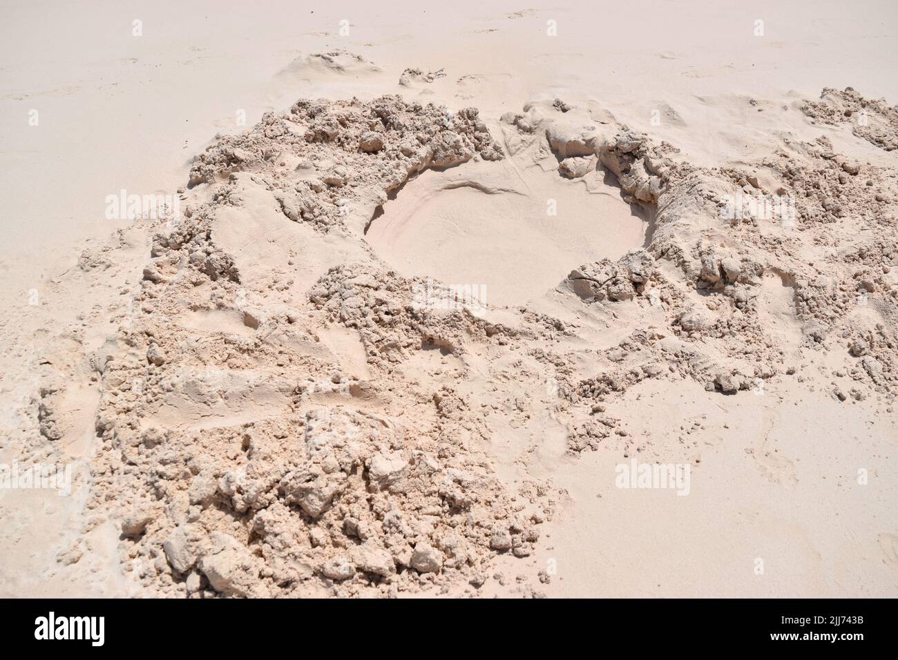 Turtle nest in the sand on Barbados beach on a sunny day Stock Photo ...