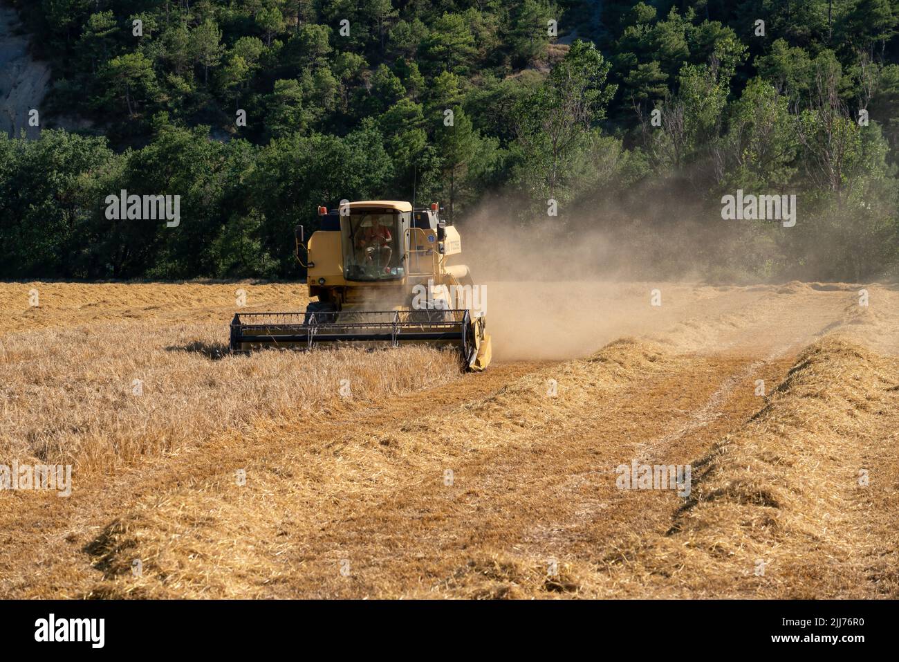 New Holland TC5060 Combine Harvester in action, sunshine and dust Stock ...