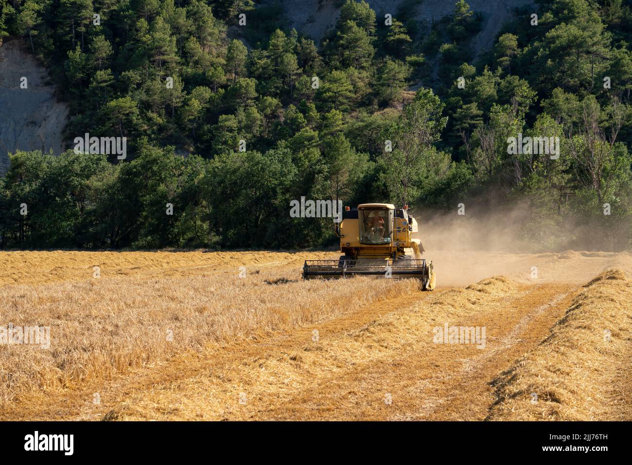 New Holland TC5060 Combine Harvester in action, sunshine and dust Stock ...