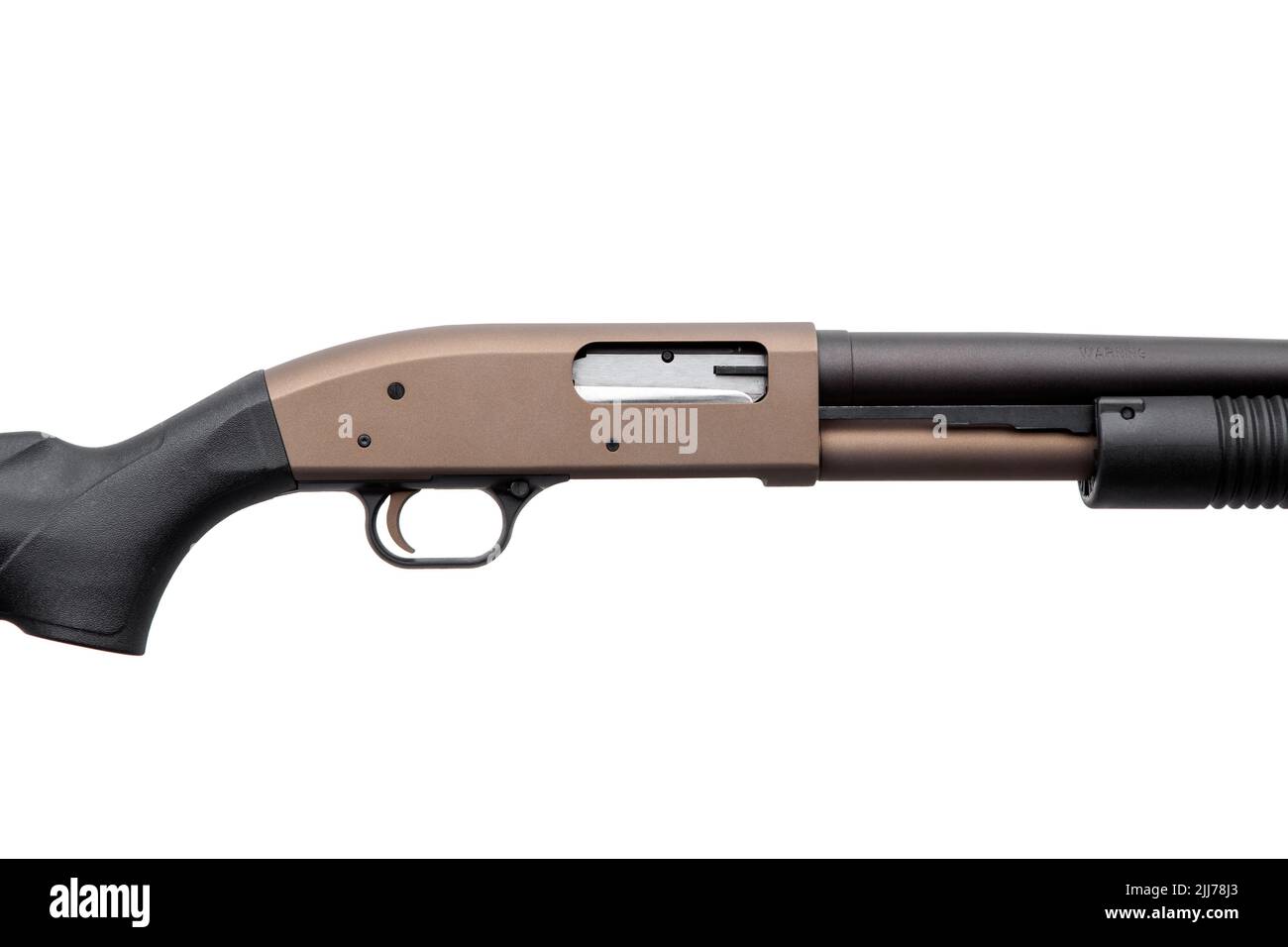 Pump-action 12 gauge shotgun isolated on a white background. A smooth ...