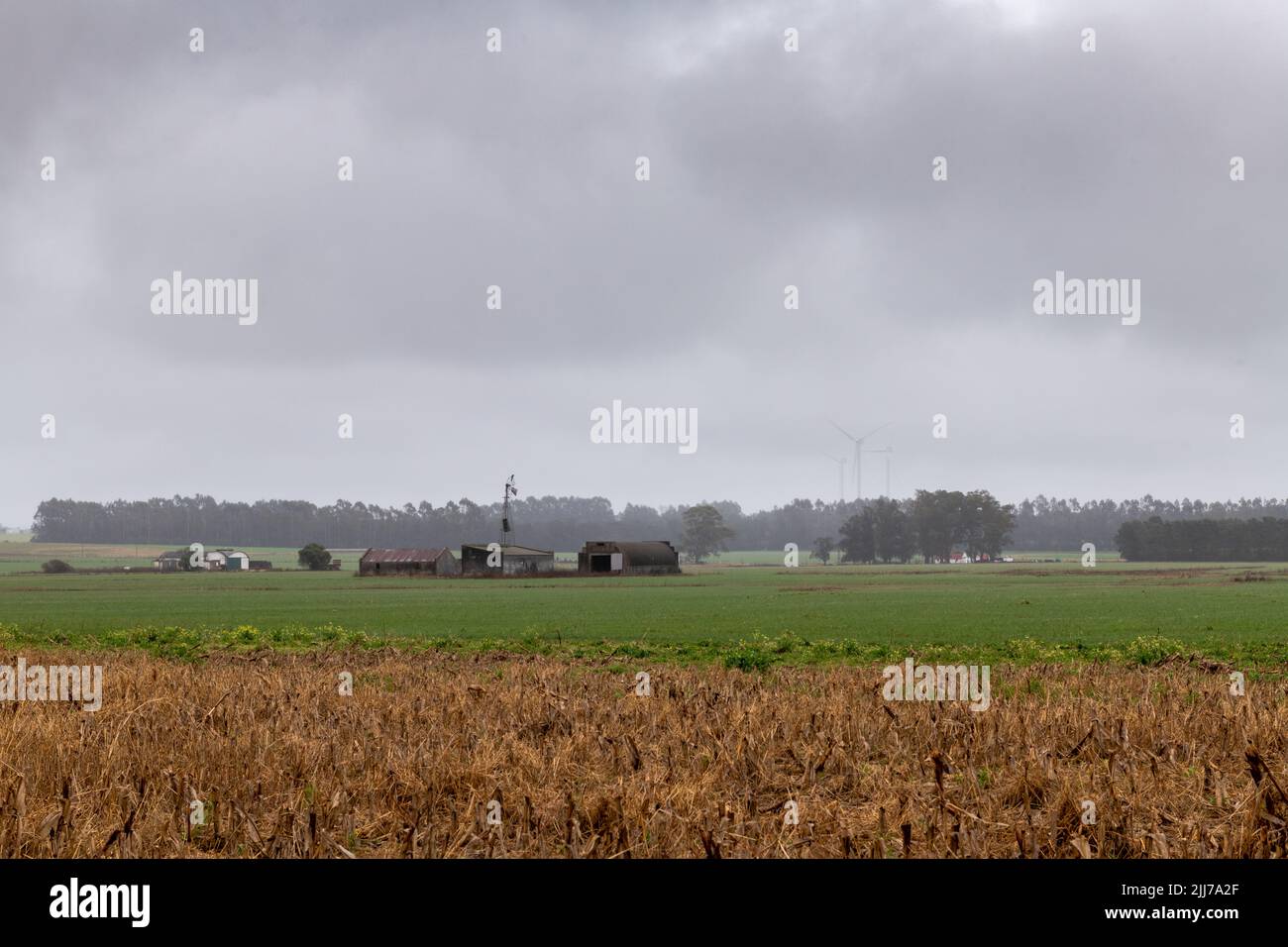 A set of modern windmills under a thick layer of clouds and rain. Some ...