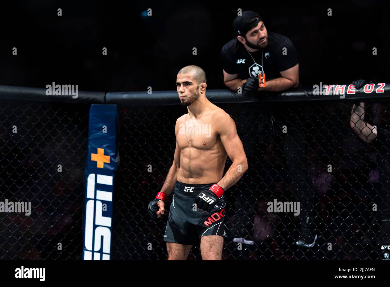 Ufc Heavyweight Fighters 2022