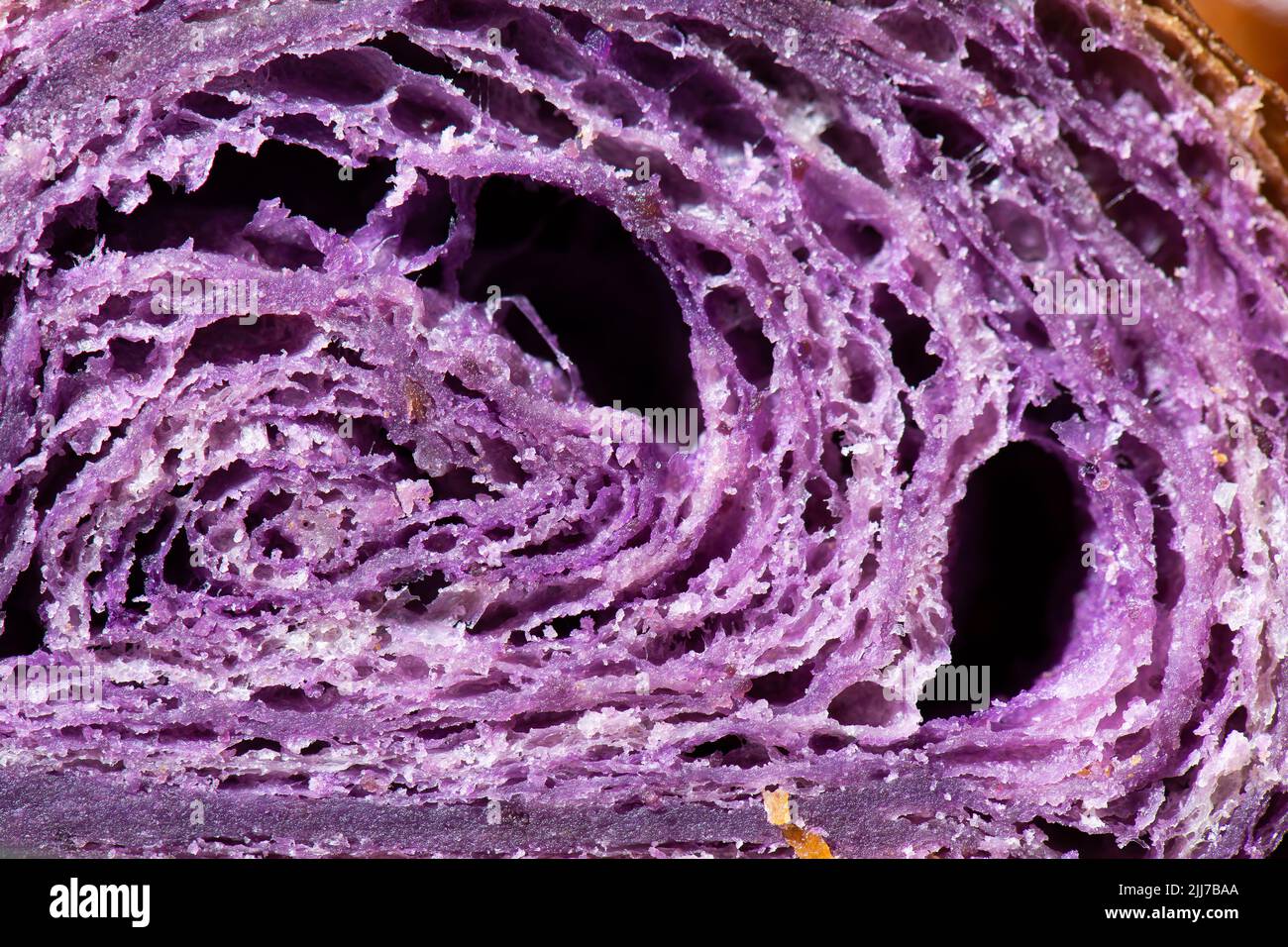 Fresh baked home made Ube Croissants using flavouring and purple yam ...