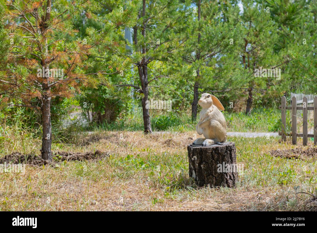 Village field forest in wild hi-res stock photography and images - Alamy