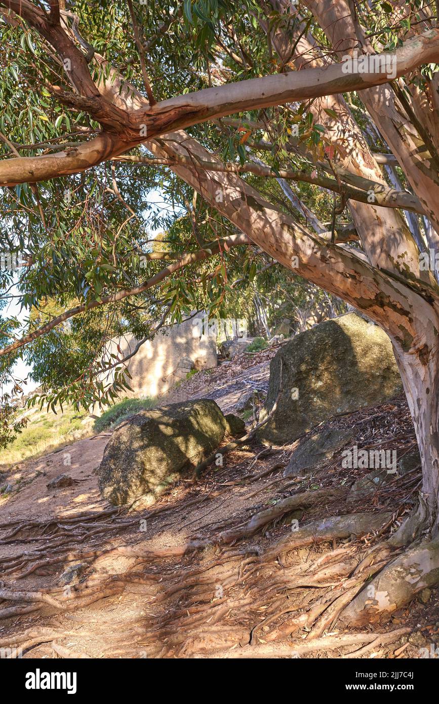 Peaceful view big rocks on hi-res stock photography and images - Alamy