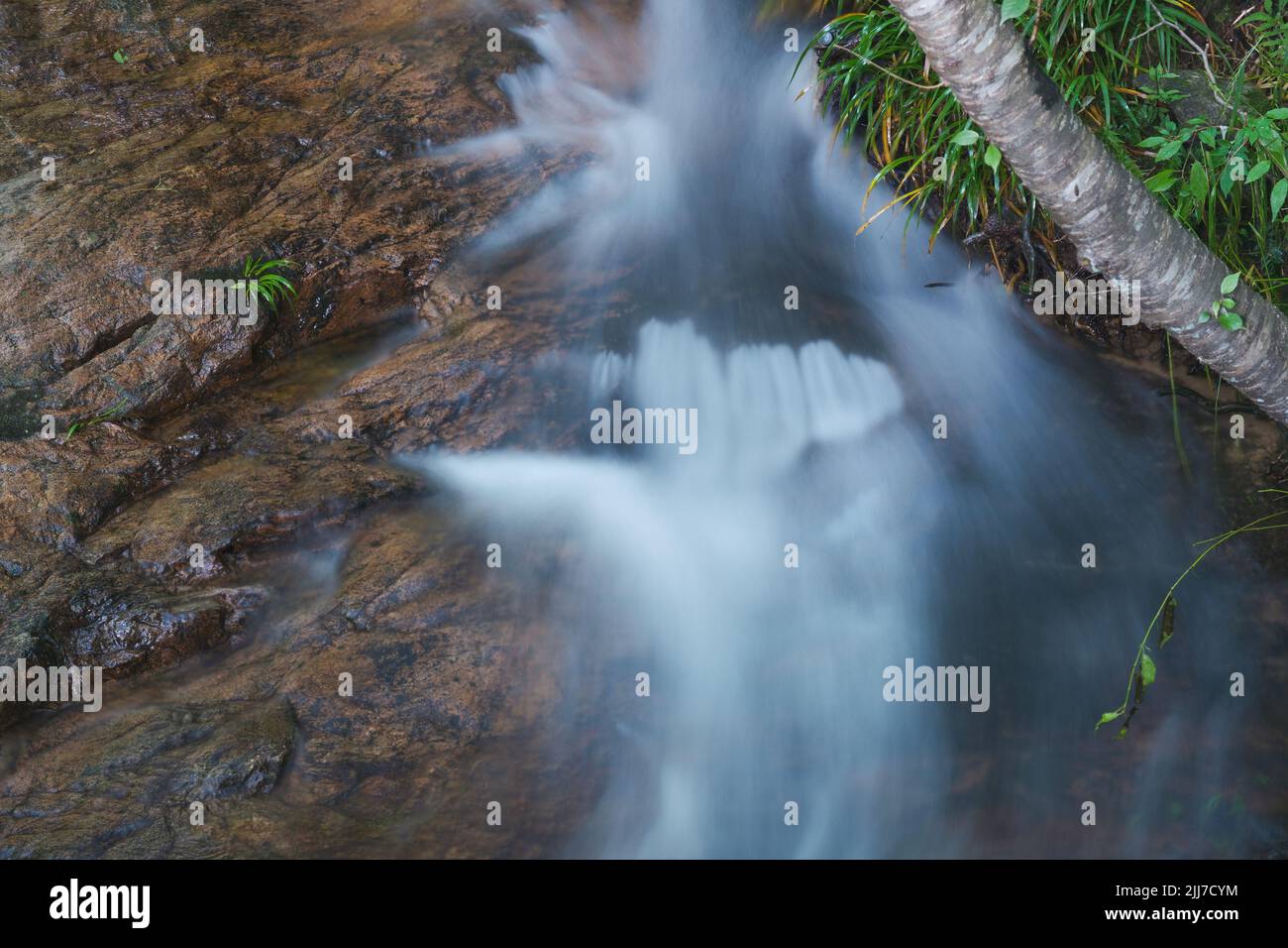 Early summer scenery of Dabie Mountain Bodao Peak Scenic Area in ...