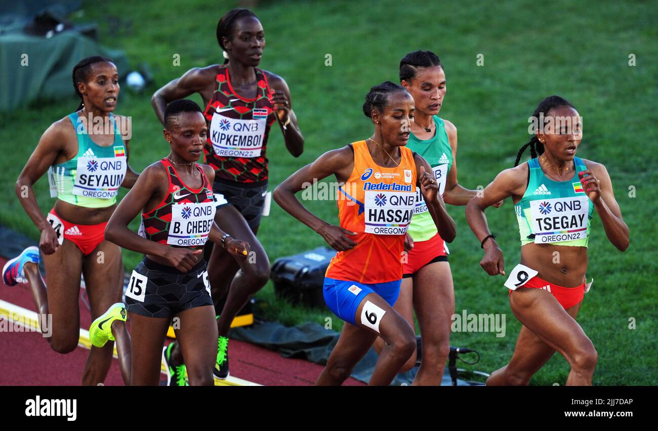 Beatrice field hi-res stock photography and images - Alamy