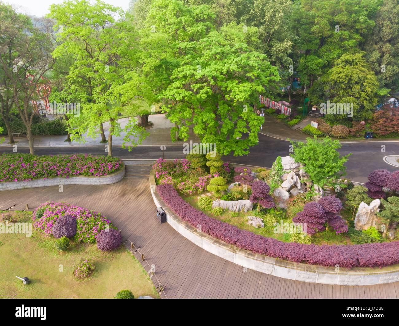 Early spring scenery of Moshan Rhododendron Garden in East Lake, Wuhan ...