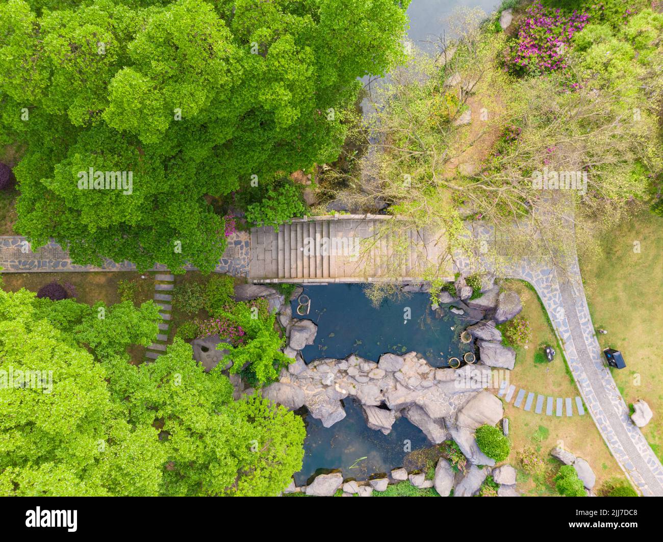 Early spring scenery of Moshan Rhododendron Garden in East Lake, Wuhan ...