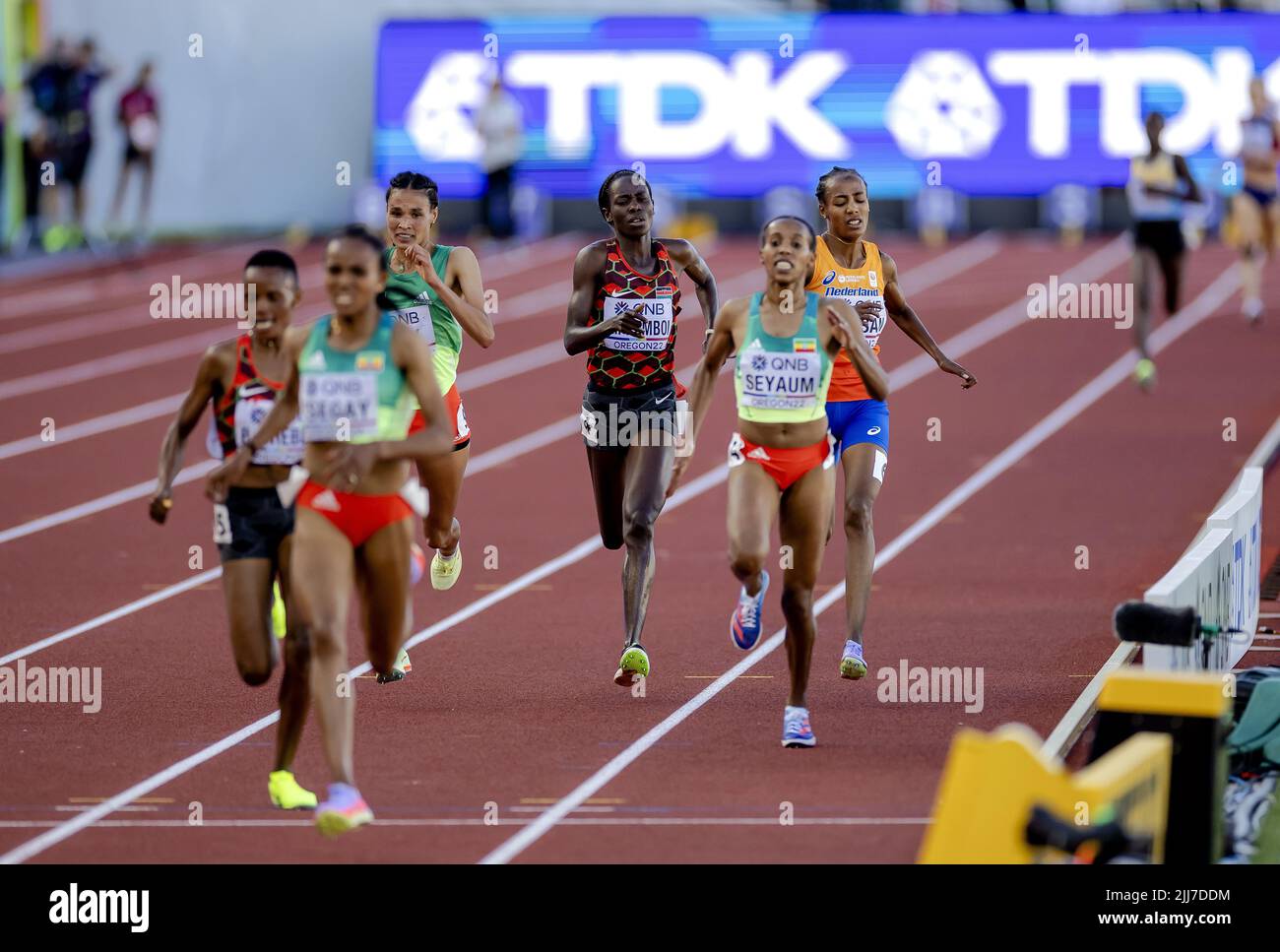 EUGENE - Sifan Hassan in action during the 5000m final on the ninth day ...
