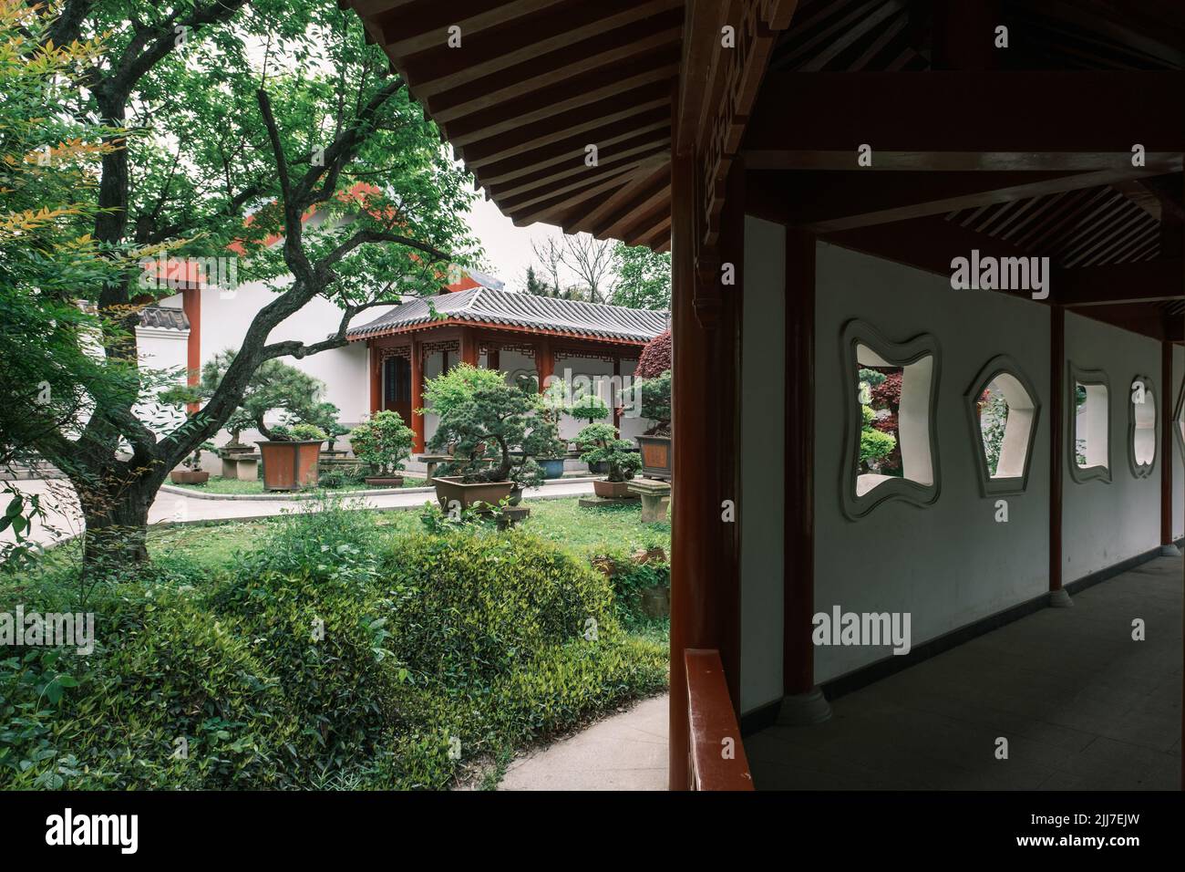Early spring scenery of Moshan Rhododendron Garden in East Lake, Wuhan ...