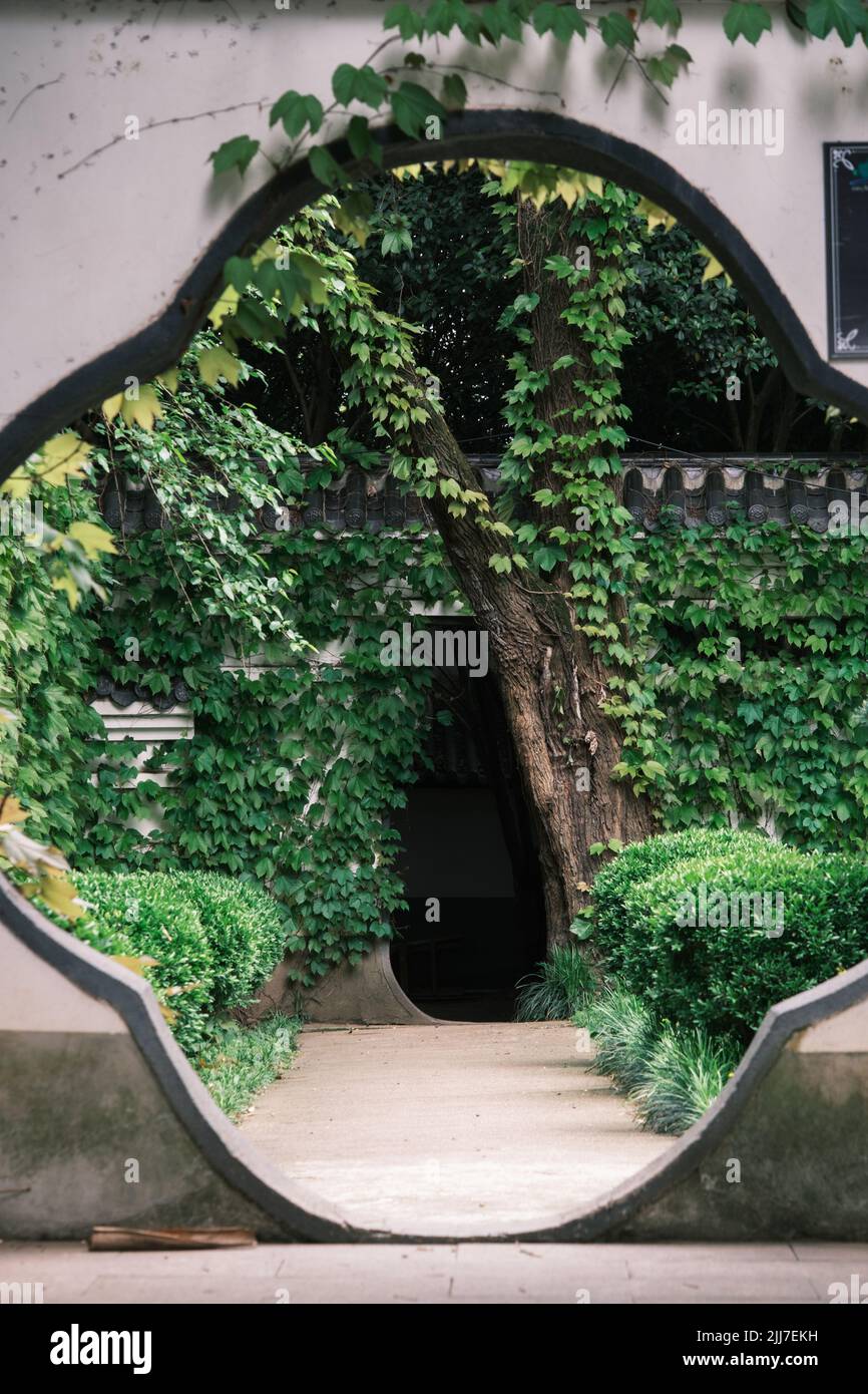 Early spring scenery of Moshan Rhododendron Garden in East Lake, Wuhan ...
