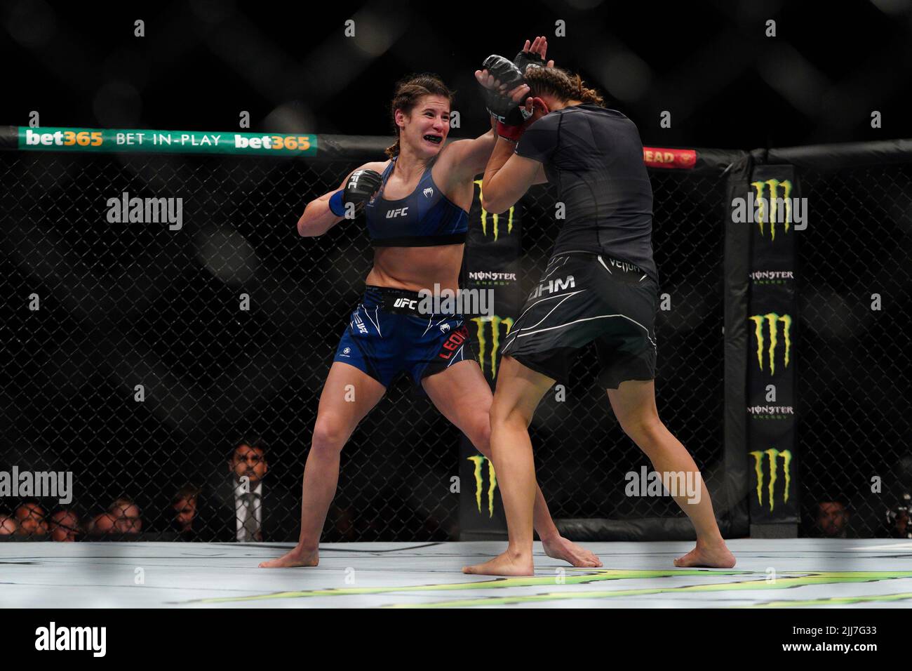 Victoria leonardo hi-res stock photography and images - Alamy