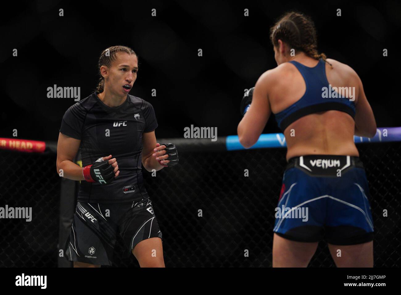 Victoria leonardo hi-res stock photography and images - Alamy