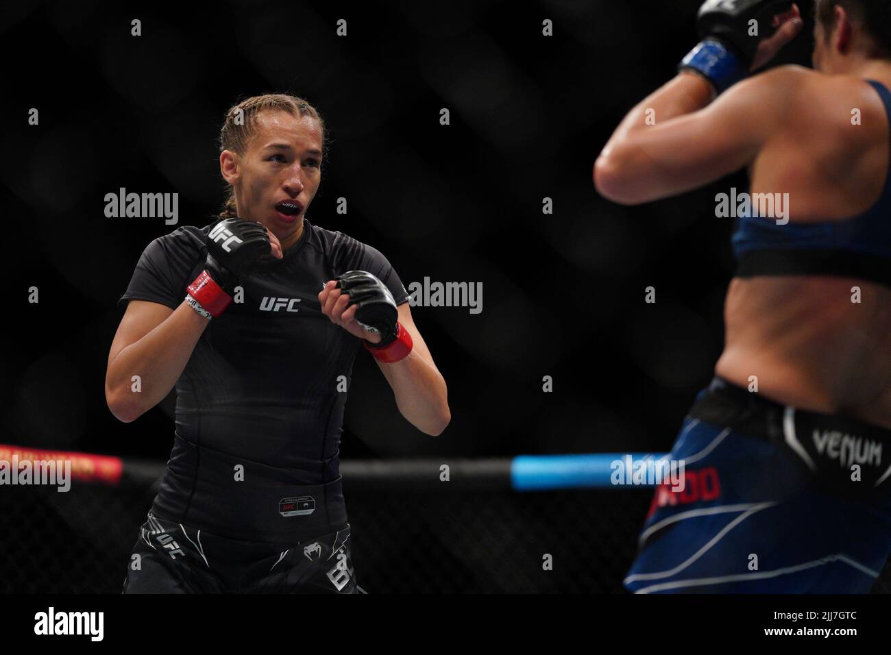 Victoria leonardo hi-res stock photography and images - Alamy