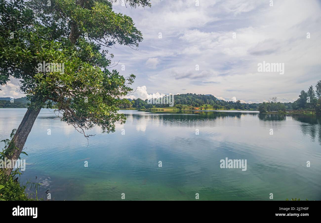 A tree against the view of Tasik Puteri Lake in Bukit Besi of ...