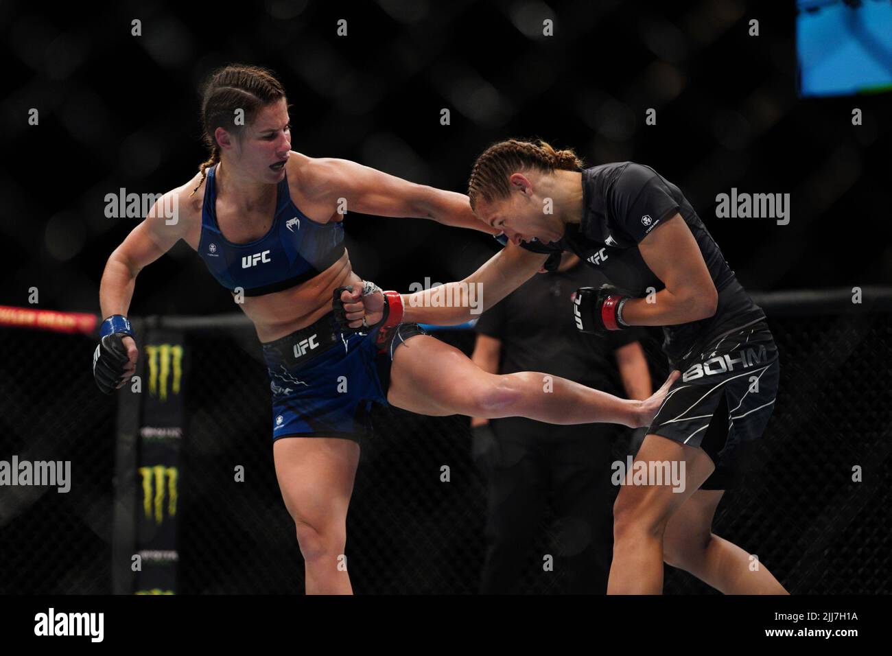 Victoria leonardo hi-res stock photography and images - Alamy