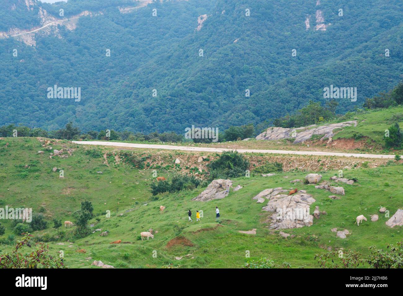 Hubei Suizhou Guangling Shui Zizhai Scenic Spot summer scenery, China ...