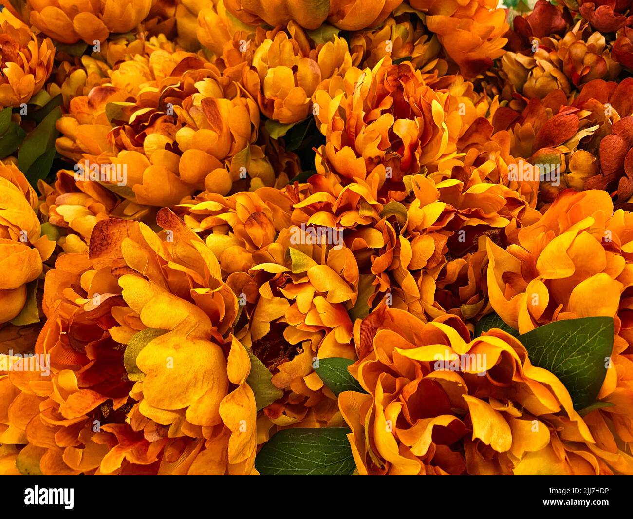Lovely orange mum wallpaper. Add your own text to this background Stock ...