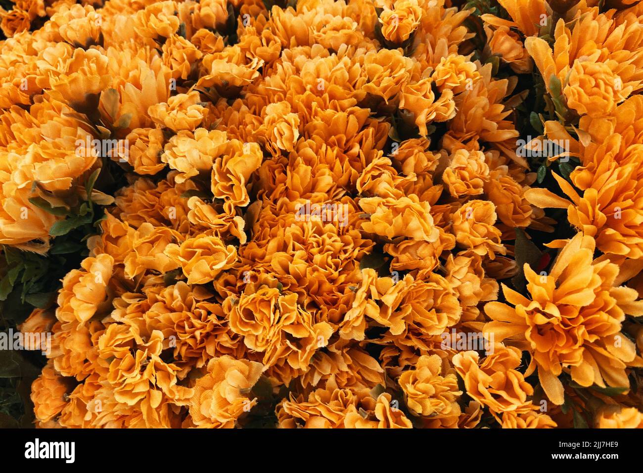 Beautiful yellow and orange mum wallpaper. Add your own text to this ...