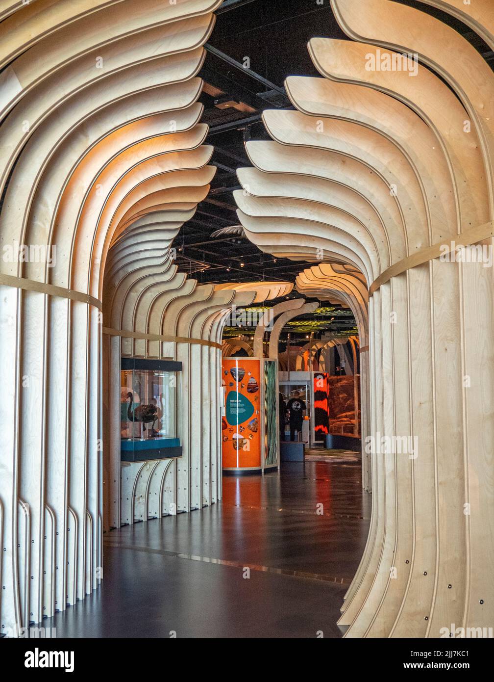 Ribbed corridor in Boola Bardip WA Museum Stock Photo - Alamy