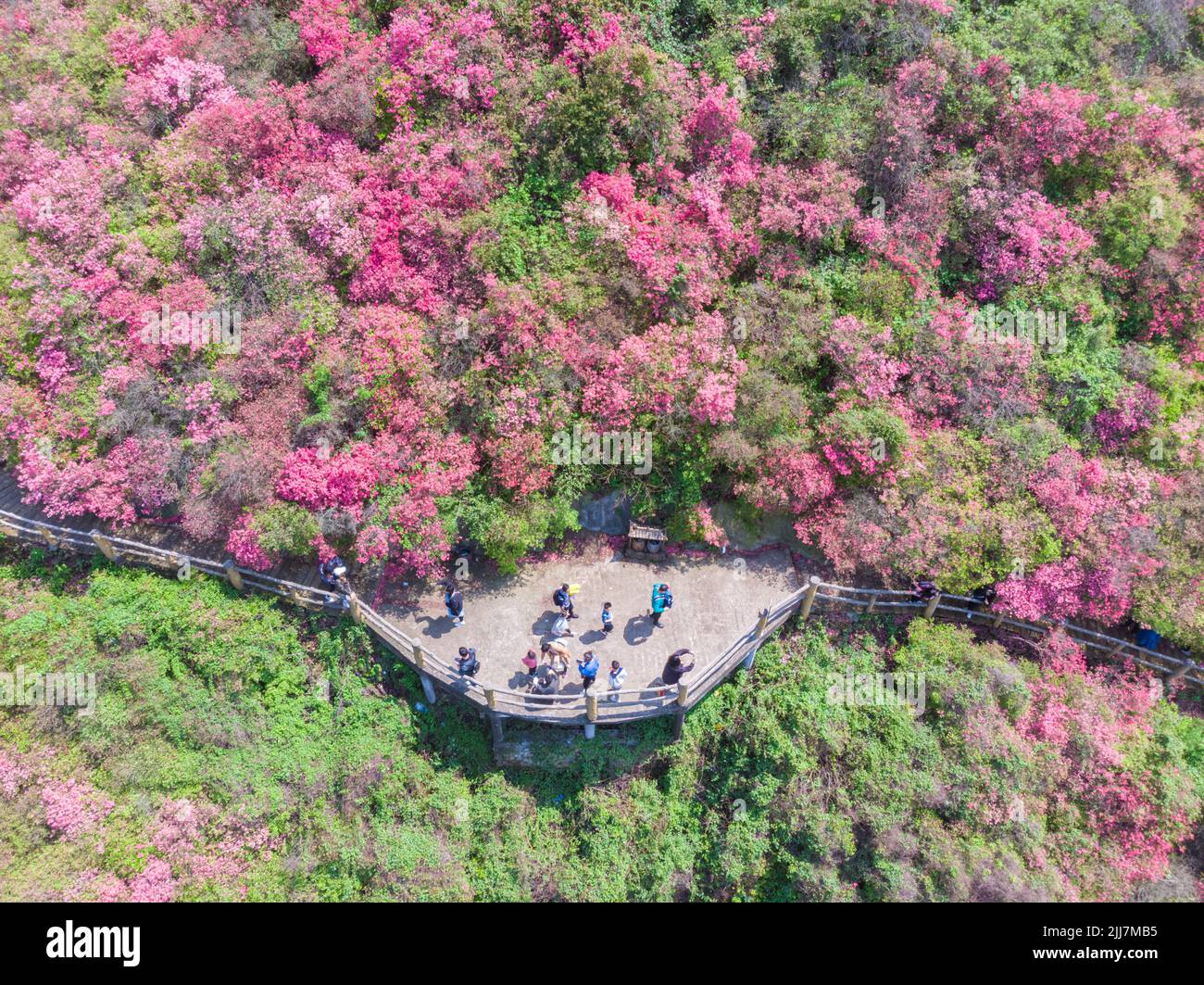 Spring scenery of Huangpi Mulan Yunwu Mountain in Wuhan, Hubei Stock ...