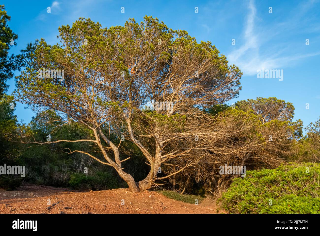 Cala es tancats hi-res stock photography and images - Alamy