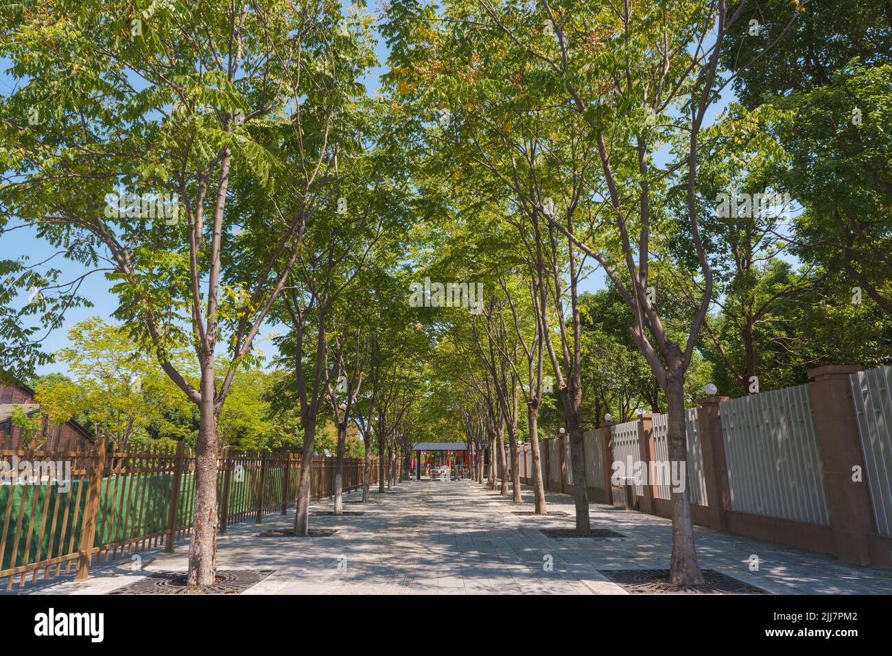 Hubei Wuhan Garden Expo Park summer scenery, China Stock Photo - Alamy