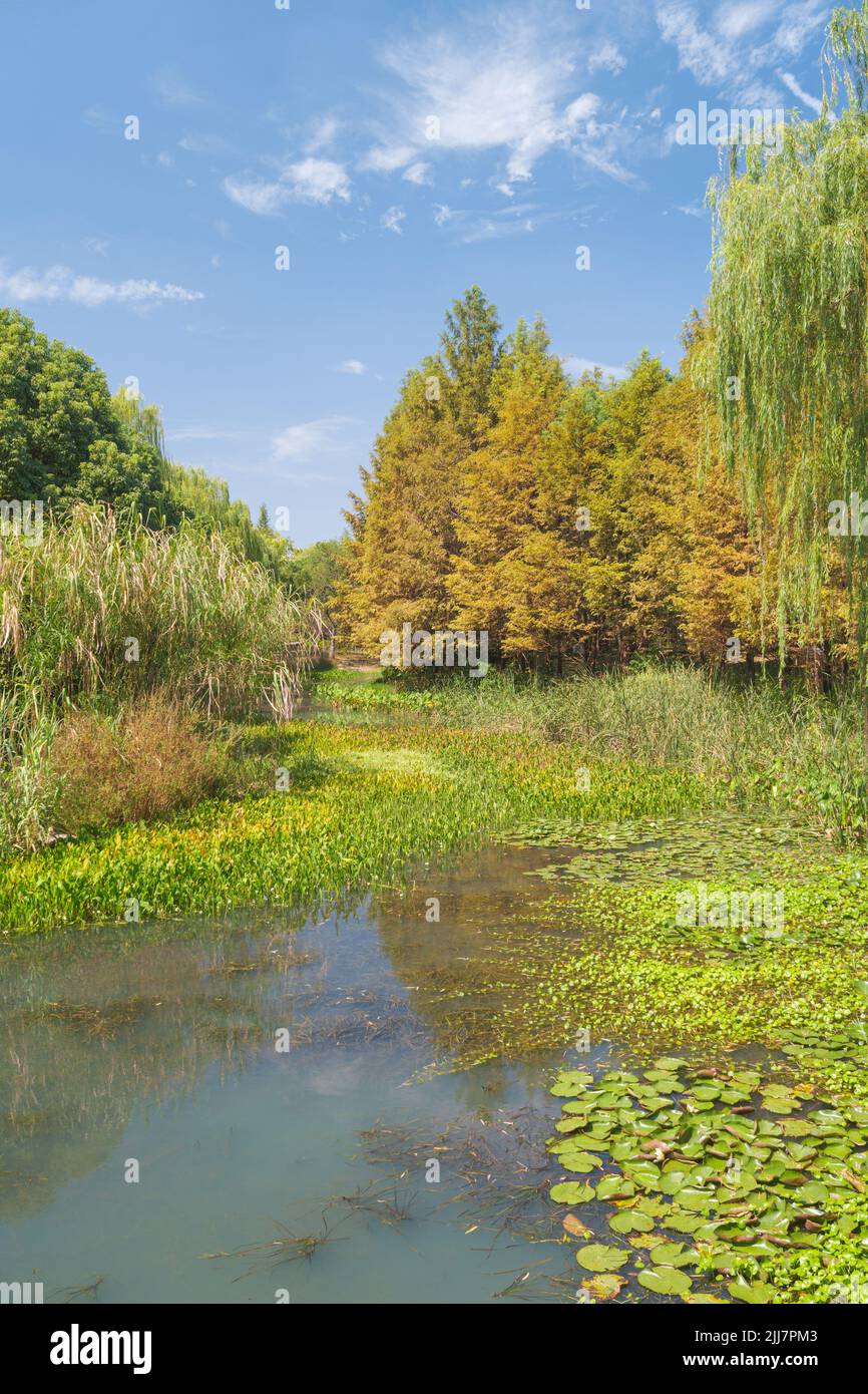 Hubei Wuhan Garden Expo Park summer scenery, China Stock Photo - Alamy