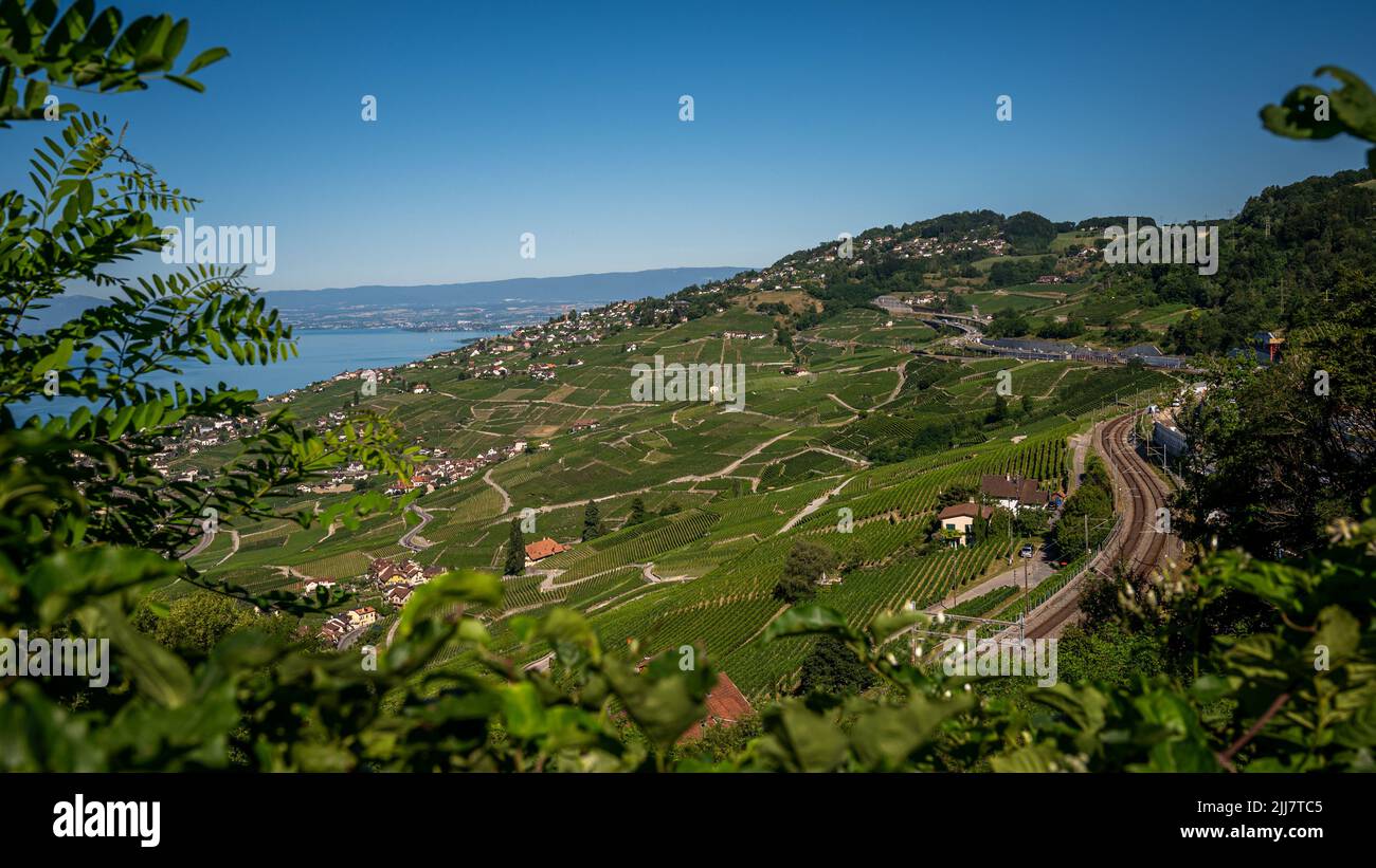 A9 highway through lavaux vineyard and lake Geneva. Puidoux, Vaud ...