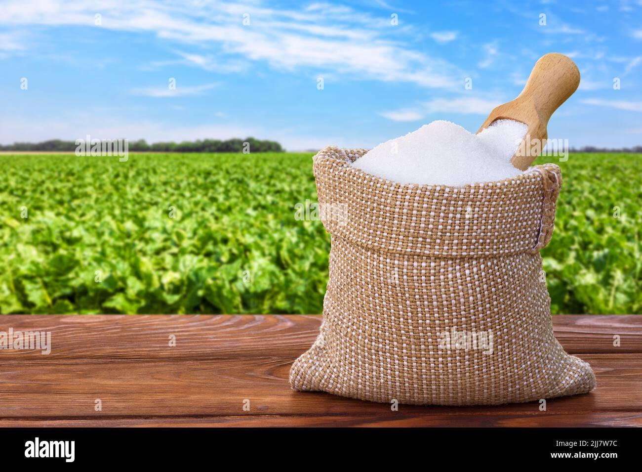white sugar in burlap sack on table with green field on the background ...
