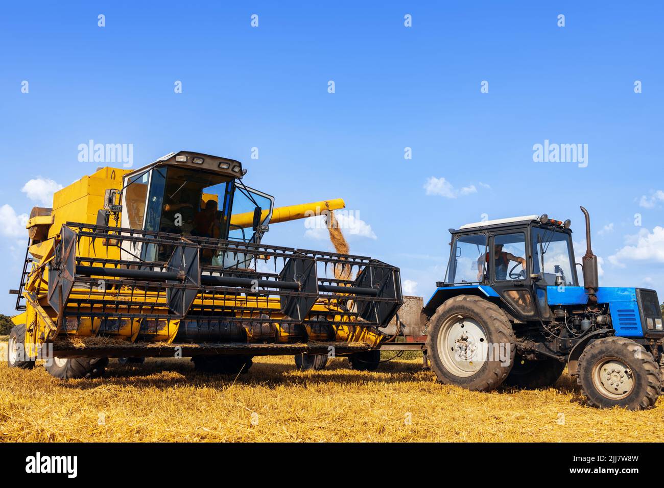 combine harvester and tractor with carriage in ripe wheat field Stock ...