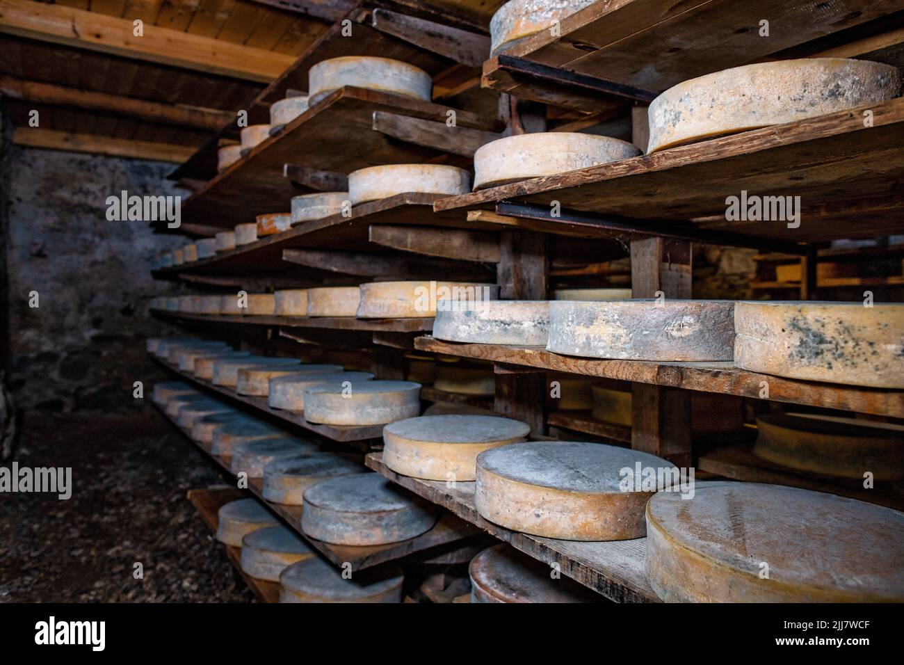Branzi cheese hi-res stock photography and images - Alamy